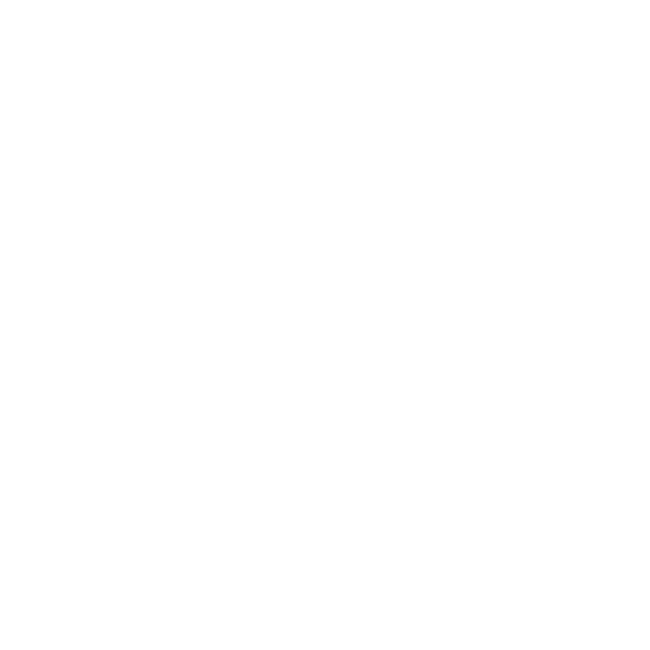 Cluj International – Website